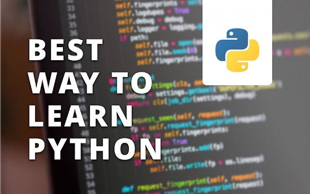 5 Reasons Why Students Fail While Learning Python