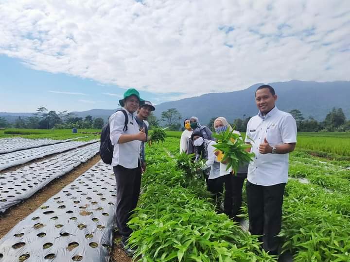 Ai Sukaesih, Penyuluh Pertanian yang 'membidani' kelahiran Barmoel - Barong Mulya