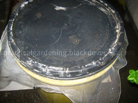 Practical Gardening: Easy Homemade Fish Emulsion Fertilizer