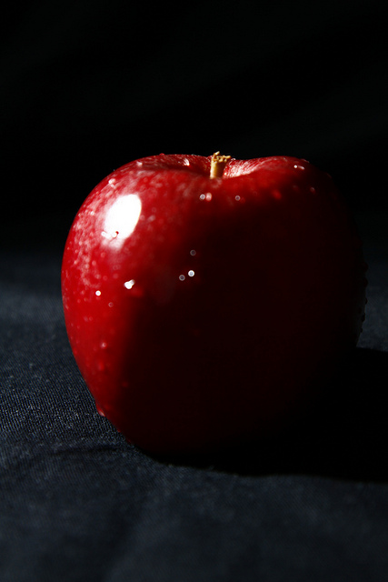 LeeAnne's Digital Photo Blog: Types of Perspective in Photography