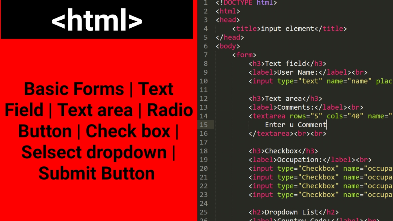 Basic Forms Html Form Html Input Types Input Element Text Field Text Area Radio