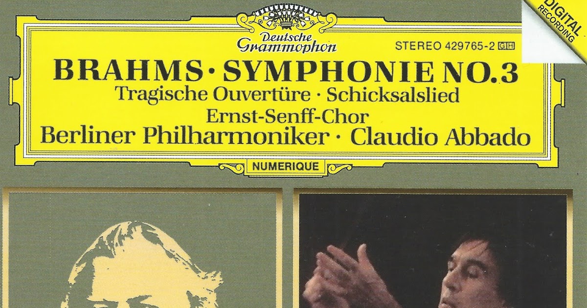 O SER DA MÚSICA: Johannes Brahms (1833-1897) - Tragic Overture, in D minor, Op. 81, Hyperions ...