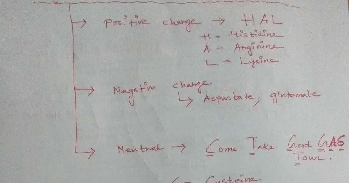 Huge medical mnemonics: Hydrophilic amino acids mnemonic