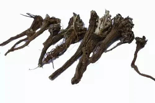 Medicinal benefits of pellitory root, akrakaram