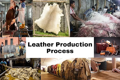 Skin and Hide - Flaying, Preservation and Tanning.