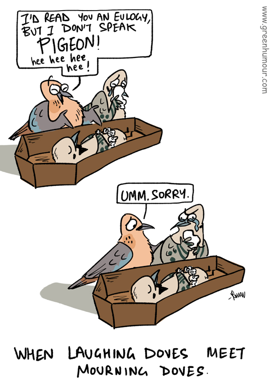 Green Humour: Laughing Dove Meets Mourning Dove