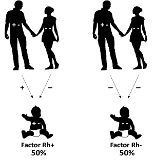 Rh Negativo: ¿Sangre de dioses, ADN extraterrestre o mutación natural ...