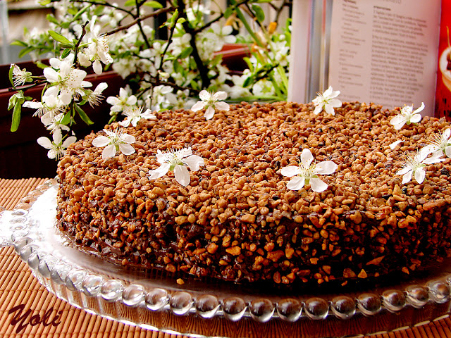 Вкусно с Йоли: Фалшив Гараш