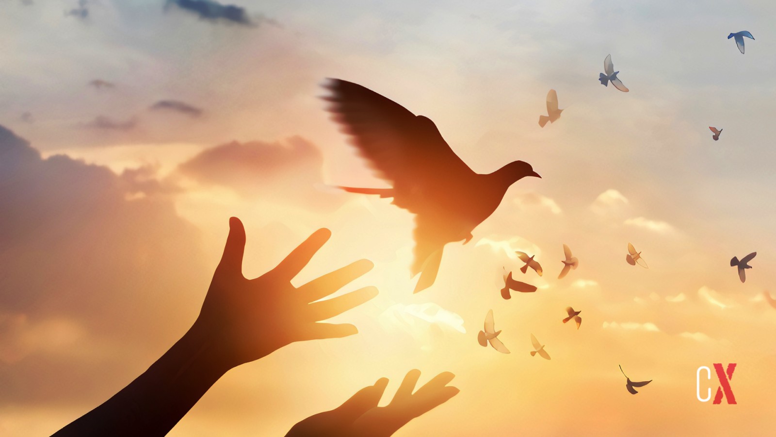 Is The Holy Spirit Merely An Active Force The Bible Says Otherwise is-the-holy-spirit-merely-an-active-force-the-bible-says-otherwise