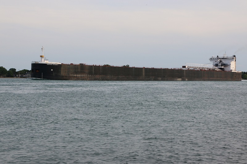 Michigan Exposures: A Little American Integrity As We Celebrate ...