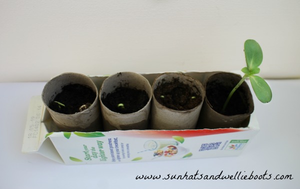 Sun Hats & Wellie Boots: Eco-Friendly Plant Pots for Kids to Make