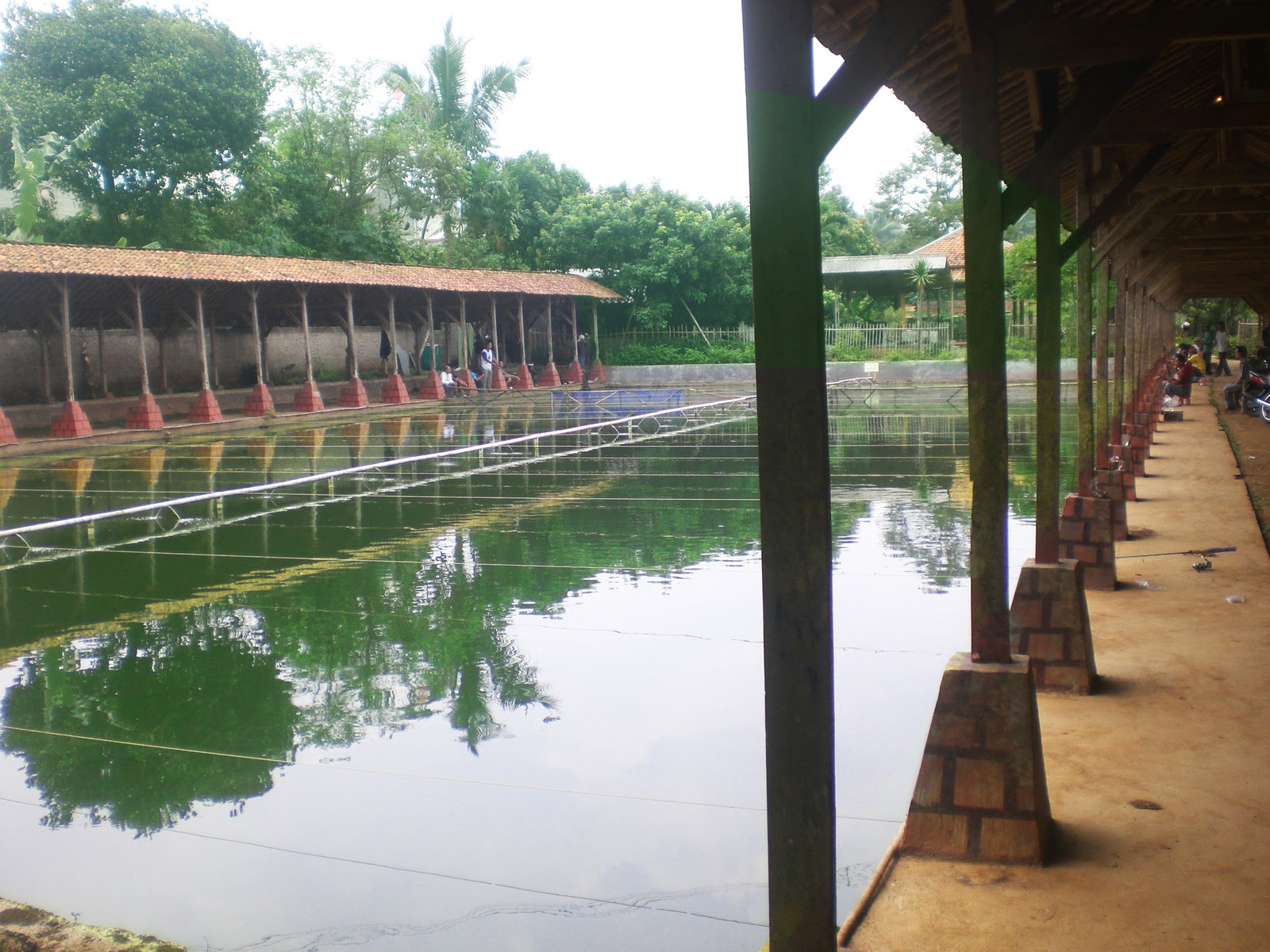 pemancingantelagasofia: Kolam Pemancingan Keluarga 'Telaga Sofia'