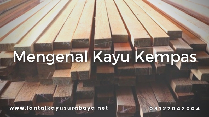 Dibalik Rahasia Kayu Kempas Berkualitas Tinggi, Ini Dia Penjelasannya ...