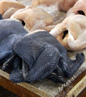 Food as Medicine - The Language of Life: Black-bone Chicken with Cordyceps