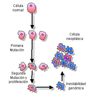 Al infinito y mas alla: Cáncer enfermedad y causas de mutación celular