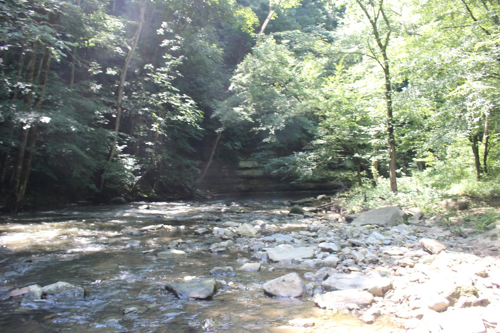 Cumberland Gal: Window Cliffs State Natural Area Hike