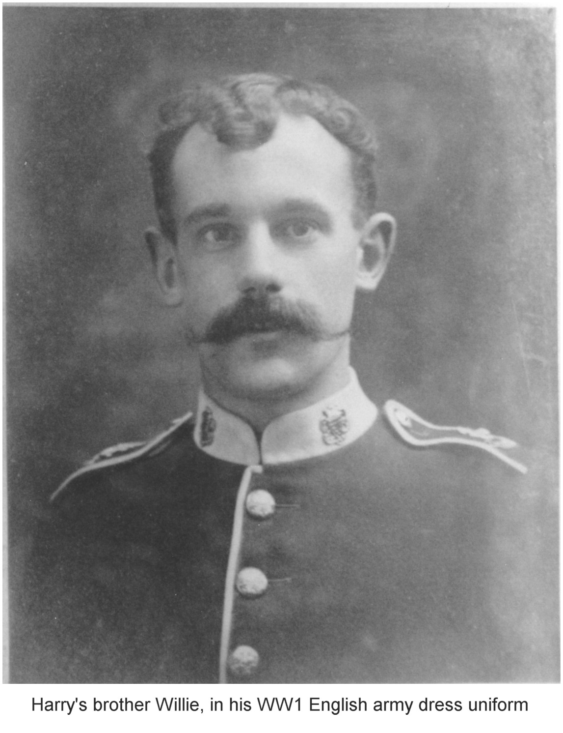 STIRRING THE BONES: Burgess Somerset