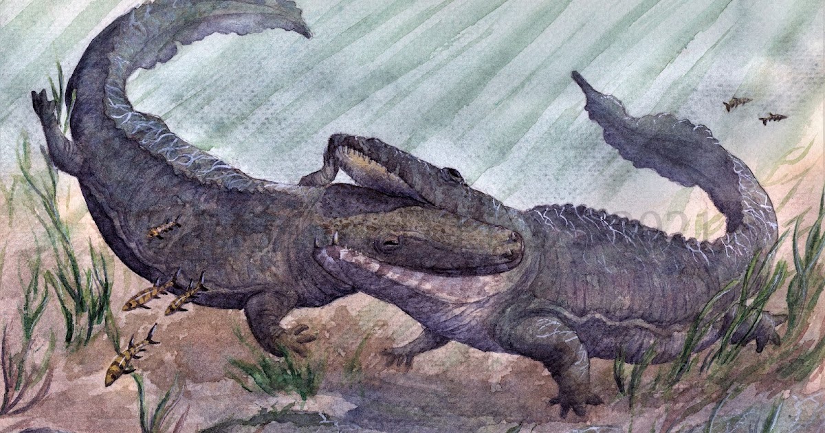 Prehistoric Beast of the Week: Mastodonsaurus: Beast of the Week