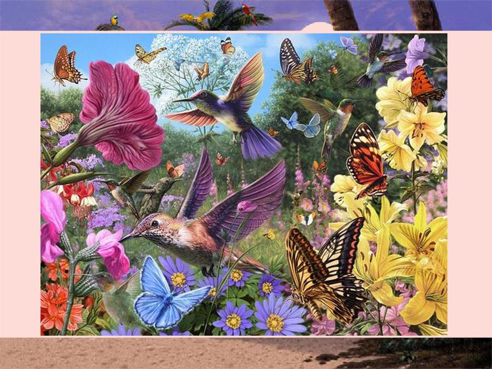 Soloillustratori: Steve Read