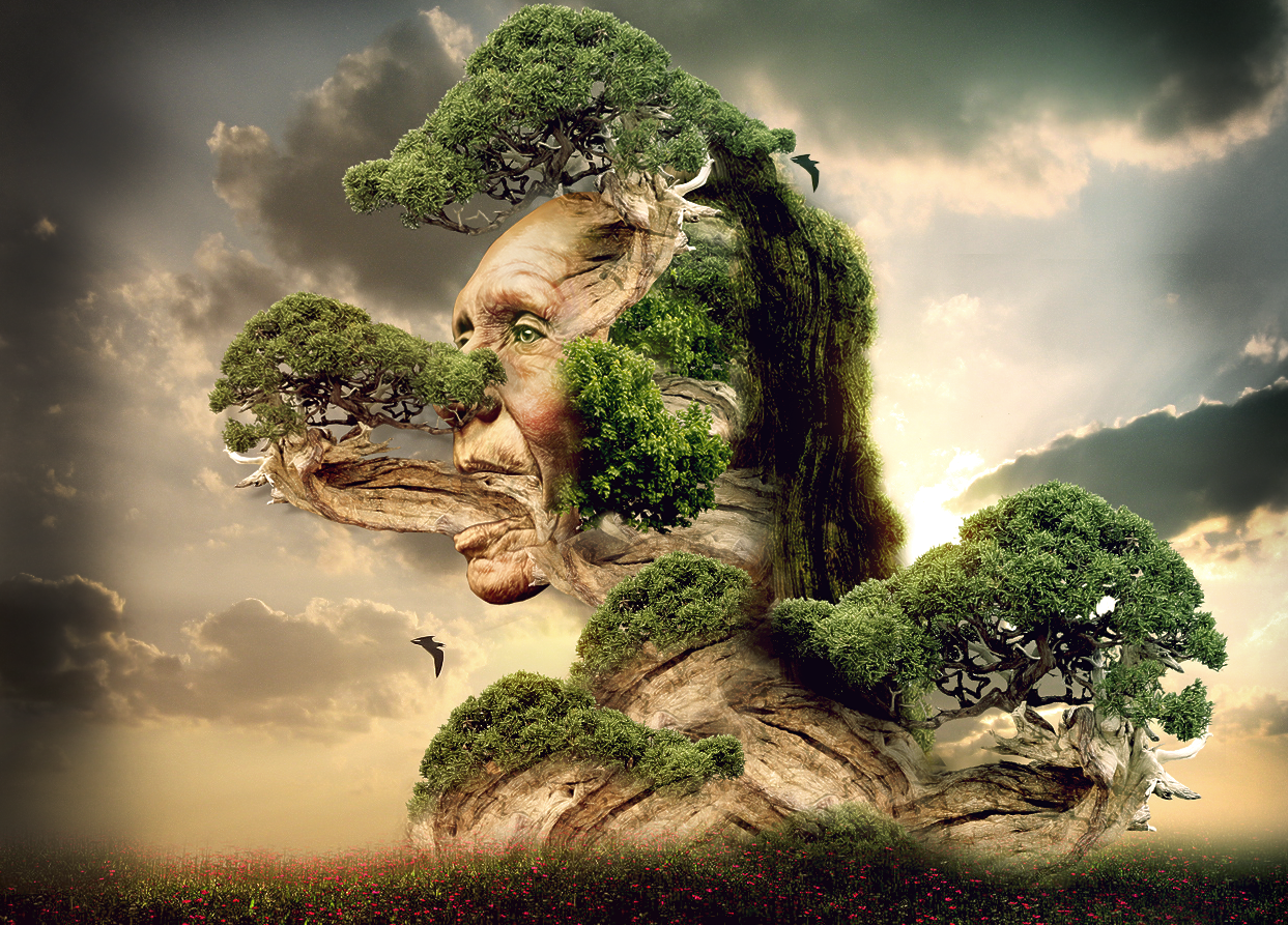 In The name of the Most Merciful Merciful God: Al Khidr (Nature) and Al ...