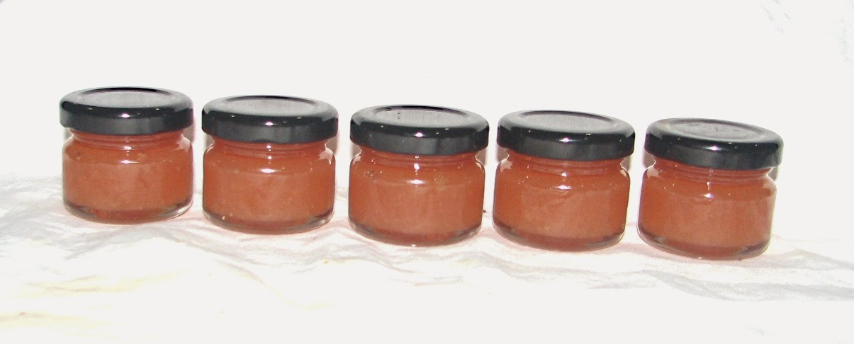 FOOD PRESERVING: WHAT ARE FRUIT PASTES?