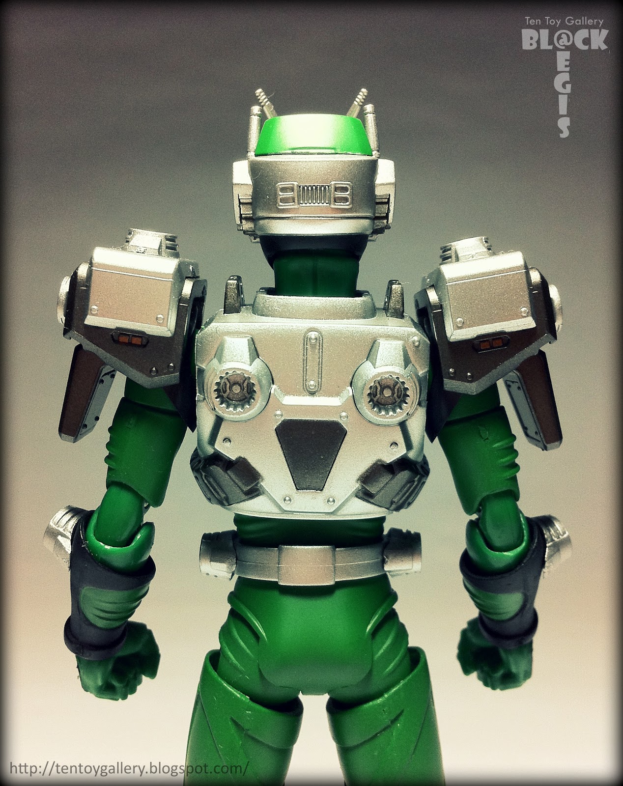 Ten Toy Gallery: Review: S.H.Figuarts Masked Rider Zolda