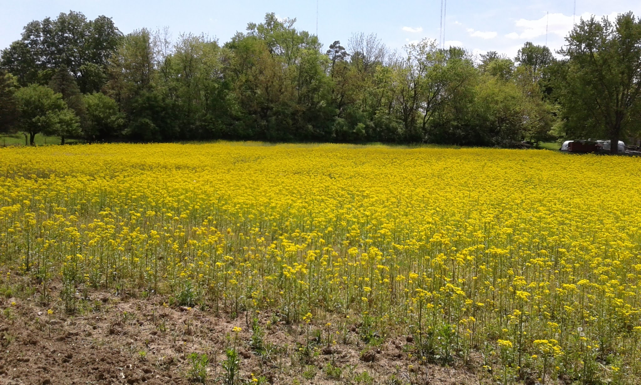 joy for grace: Out and About - Saturday's Snapshots