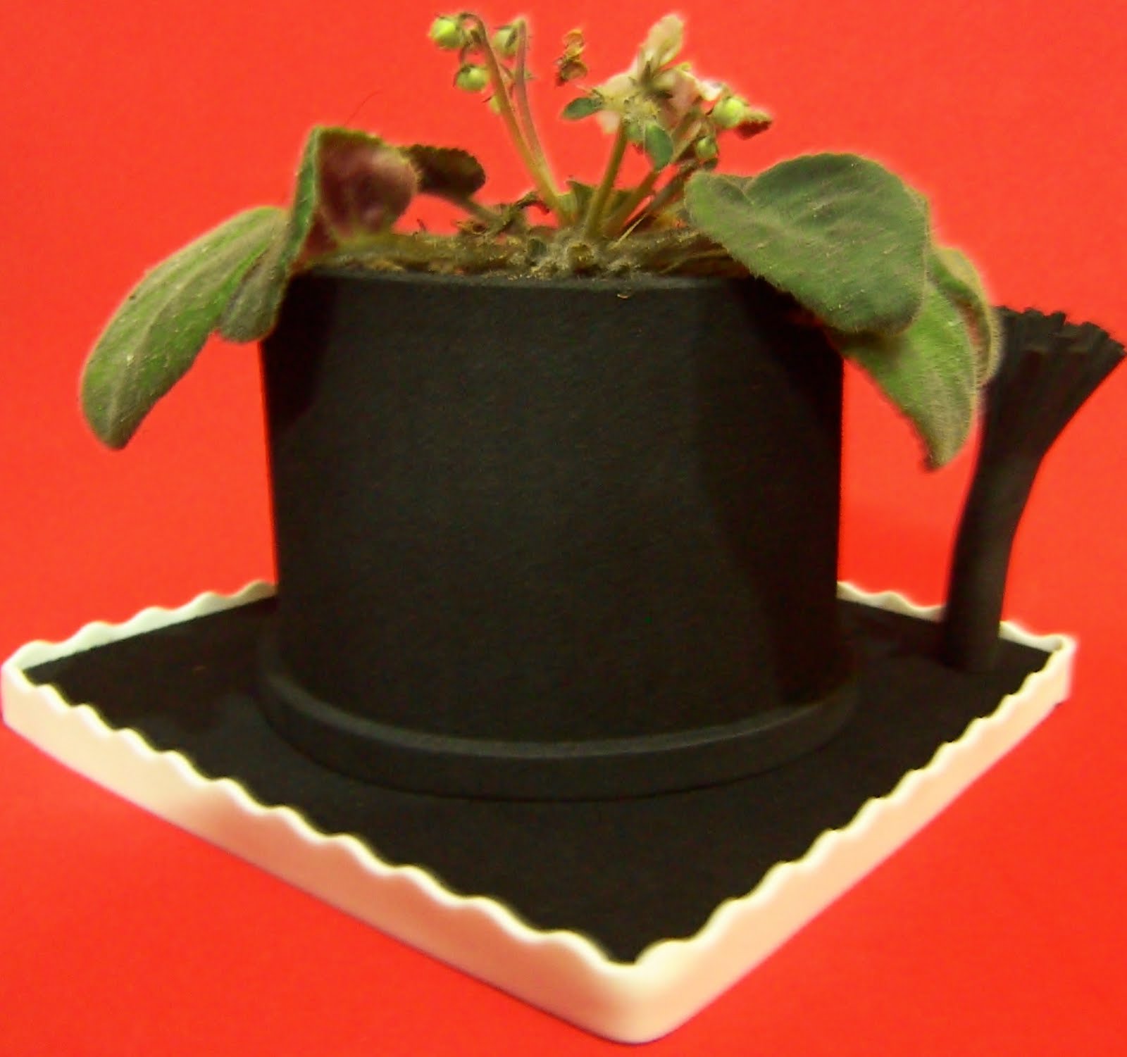 Flor & Arte: Cachepot "capelo": decoração para festa de formatura