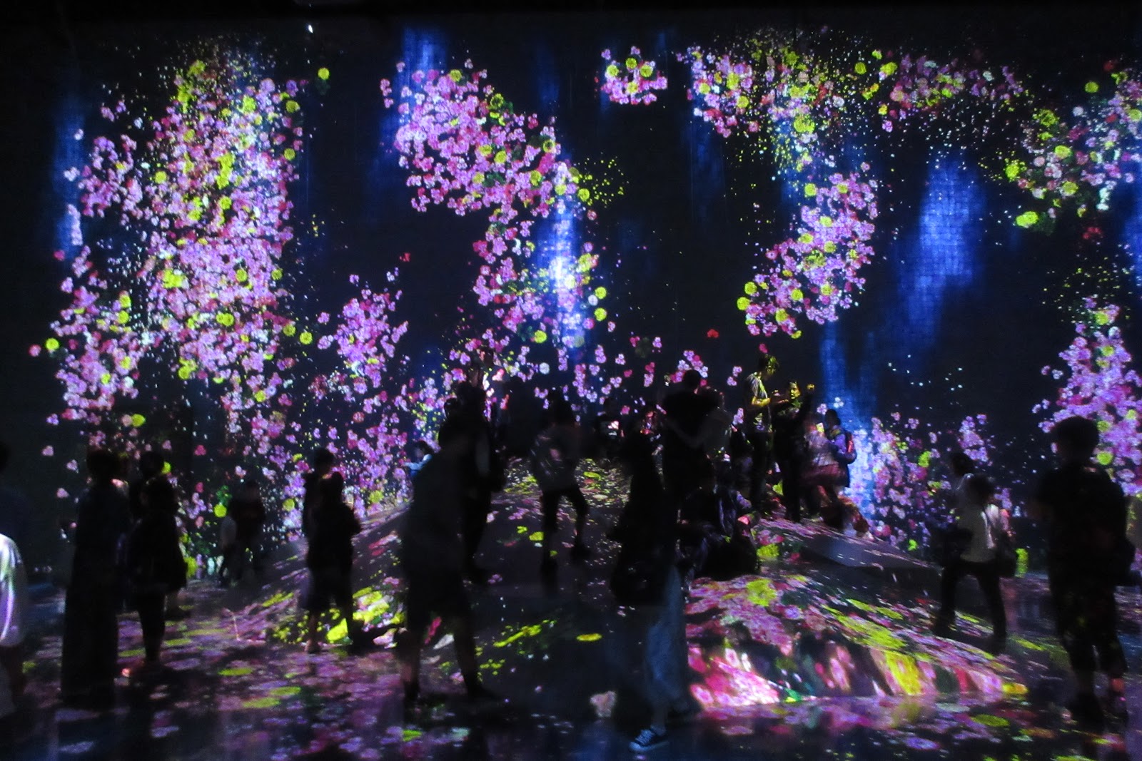 How to Go to teamLab Borderless Museum and My Experience - The ...