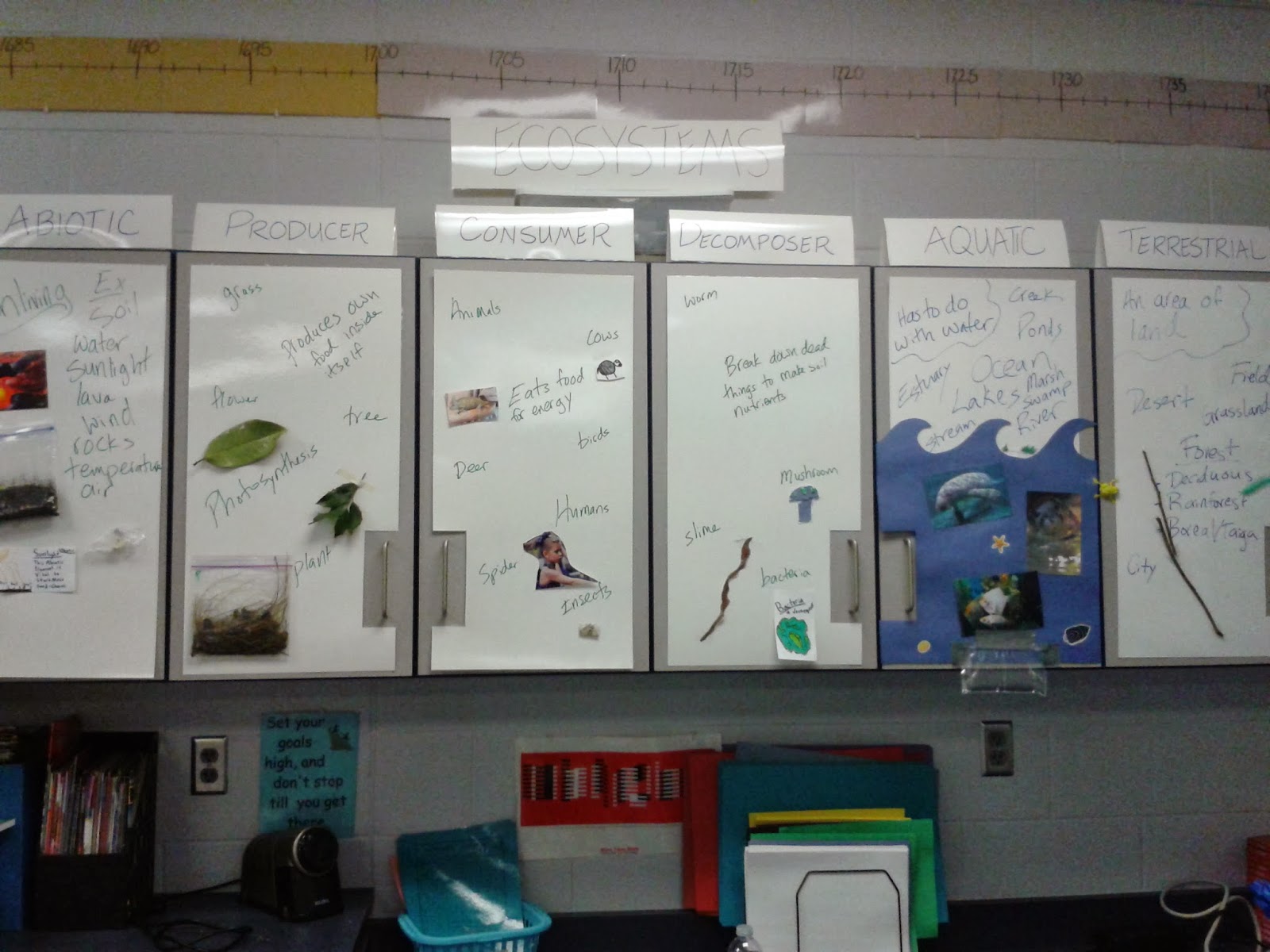Teaching and Learning in Community: Interactive Word Walls: An ...