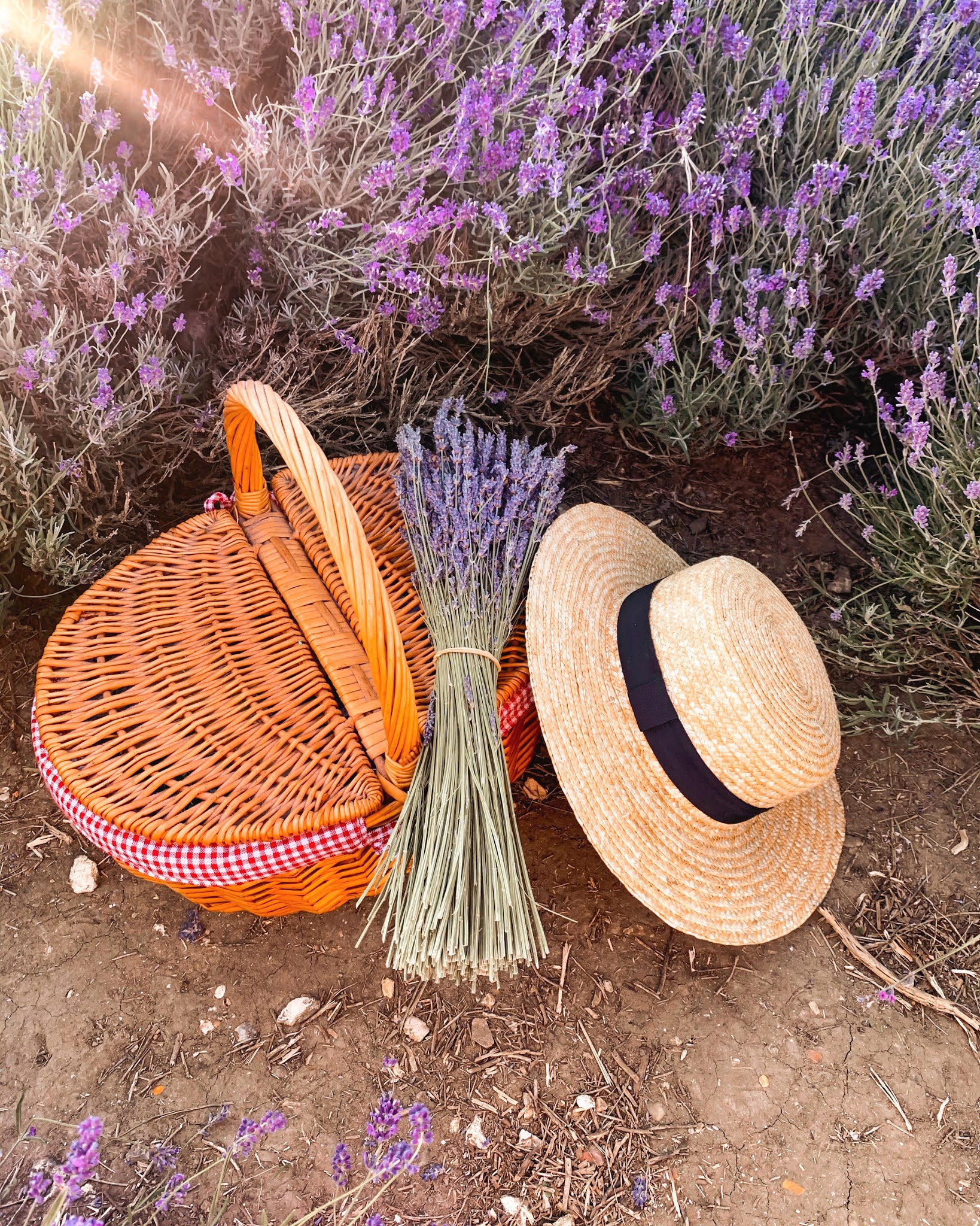 5 Things That Made My Summer Great | Pint Sized Beauty