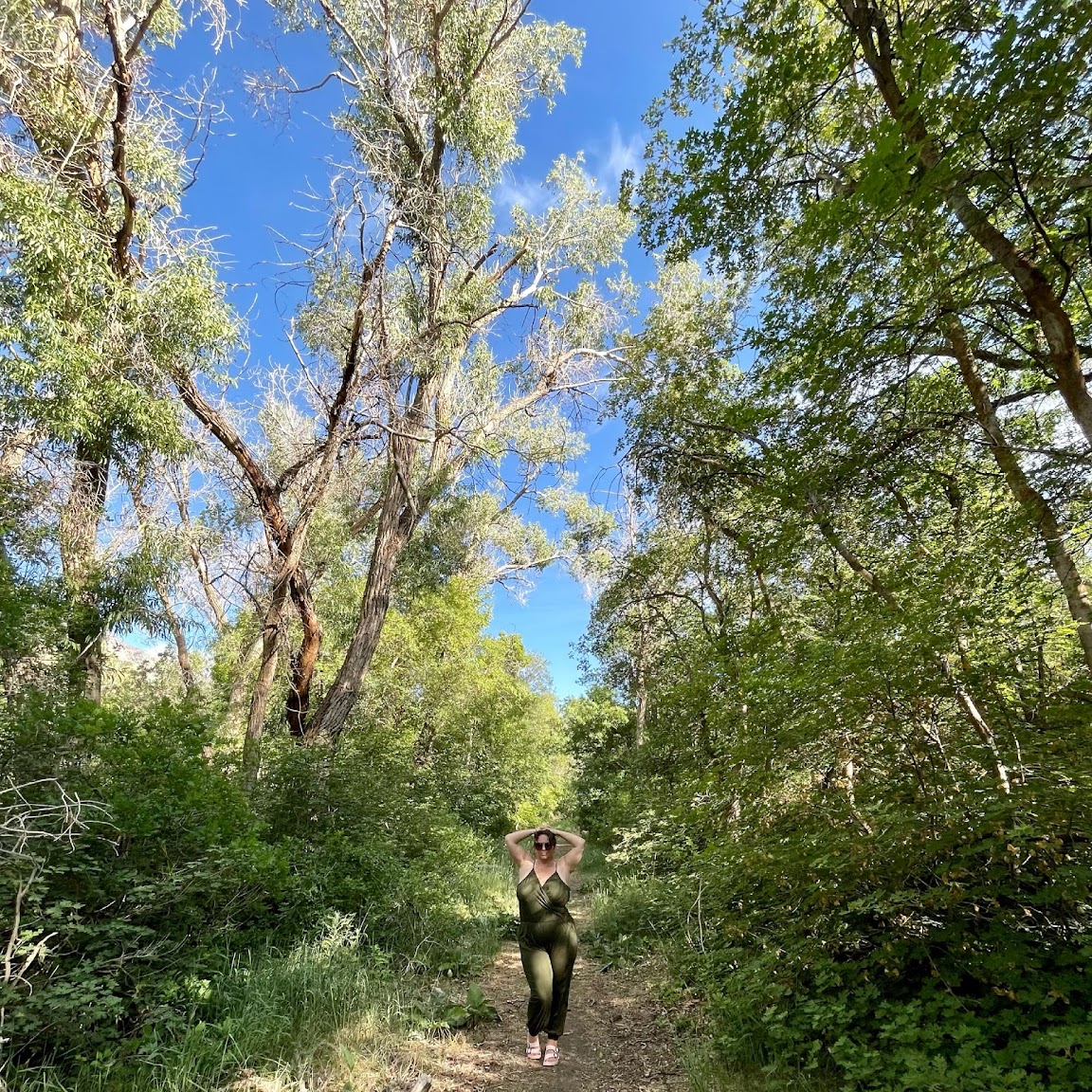 C. Jane Kendrick- writer, believer, shape-shifter