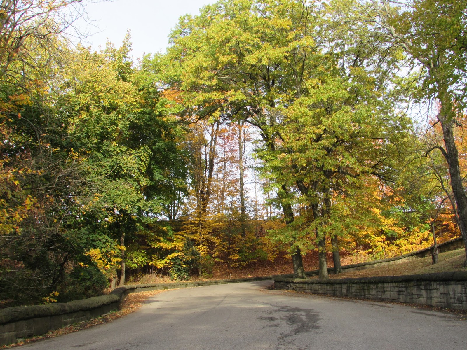 Autumn Views in Pittsburgh: Fall Colors, Fireworks, Heritage Festivals ...