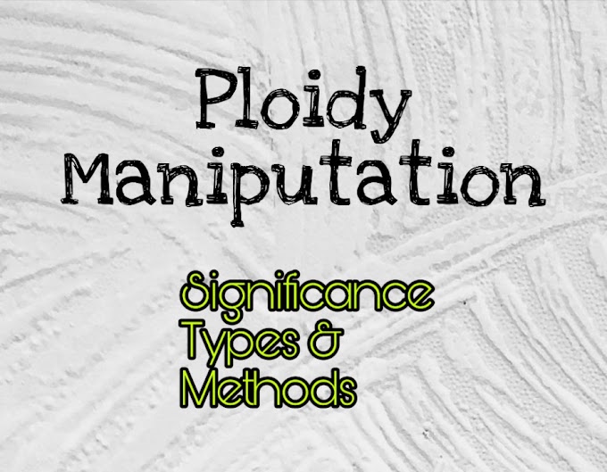 What is Ploidy Manipulation ? Significance of ploidy Manipulation ...