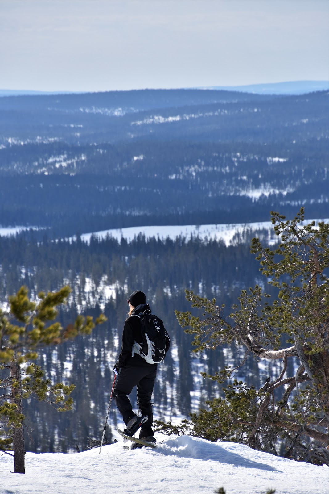 Askelmittari: Iso vaalee