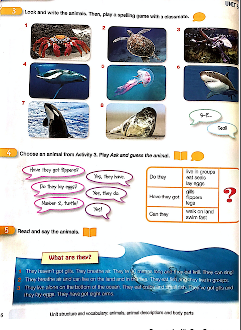 Vocabulario unidad 5 de inglés