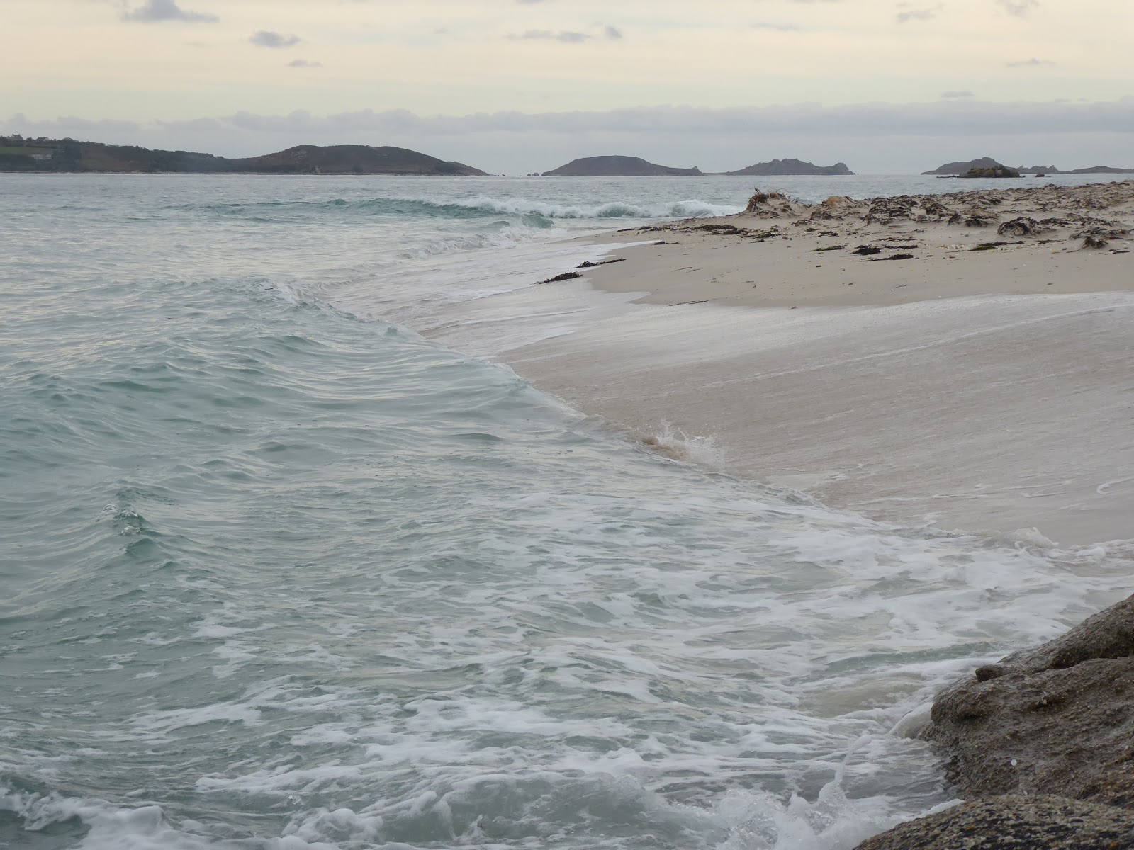 My antidote to the midweek blahs - colour therapy and beach walks ...