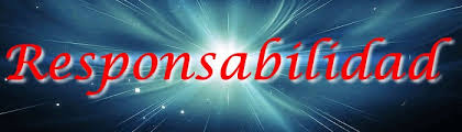 La Responsabilidad Informática