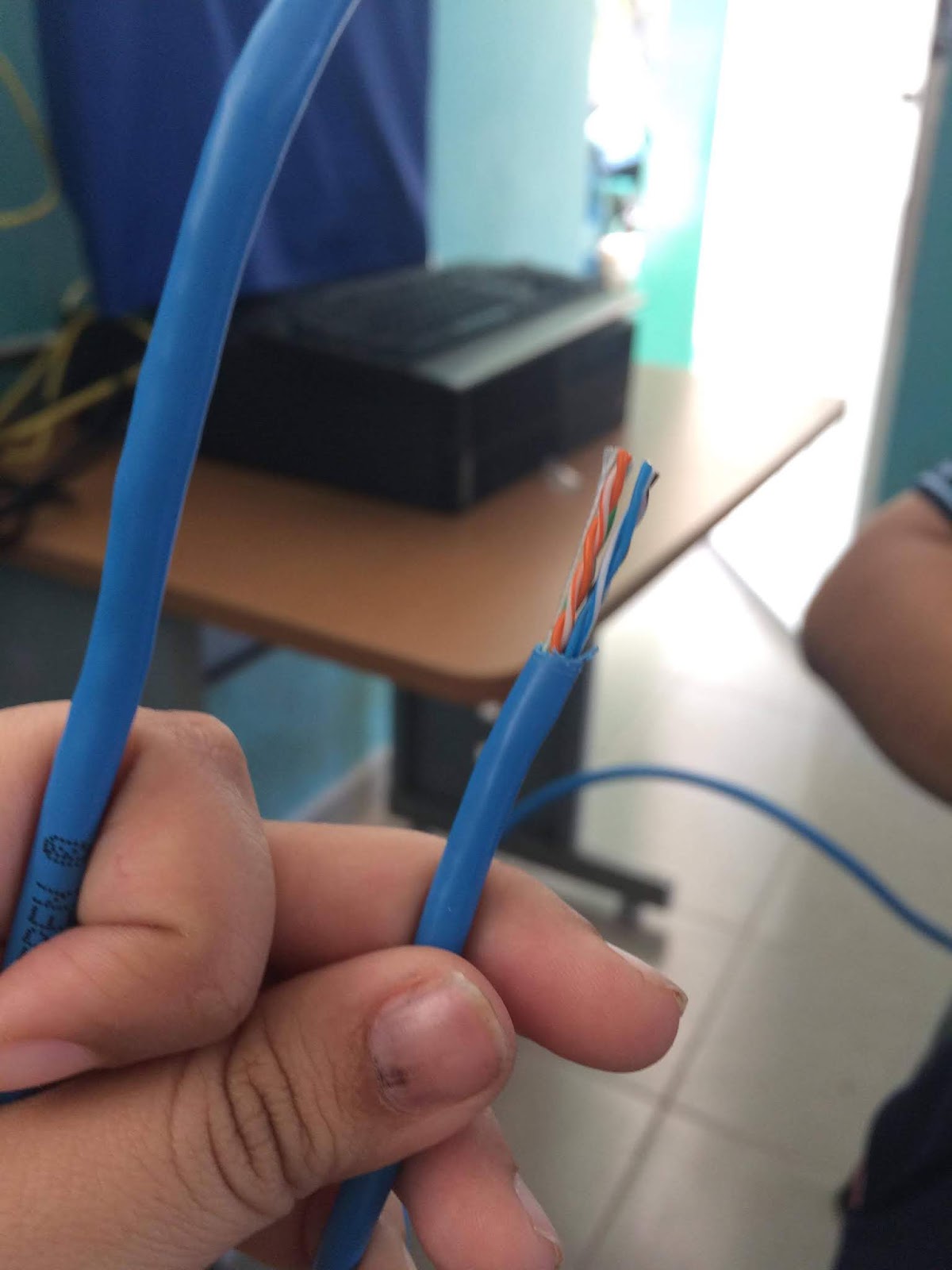 Cable de Red directo