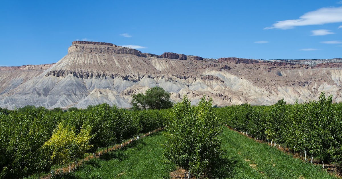 Stan's Travels: Palisade & Colorado National Monument (7/17/2016)