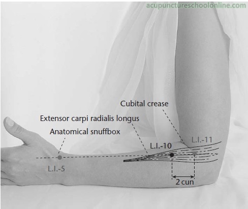 Jarum Sakti: Meridian Paru-paru & Usus Besar