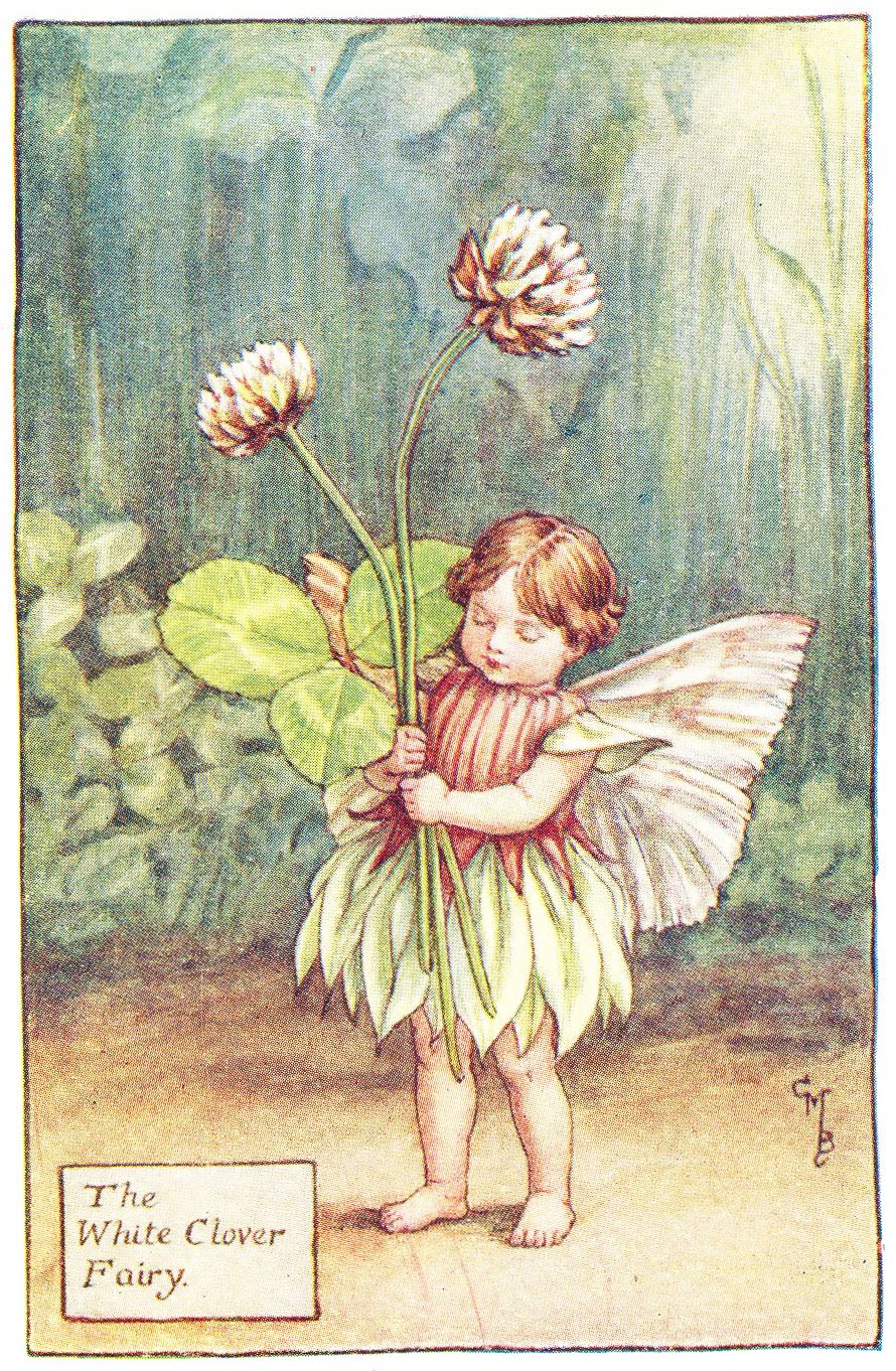 Vintage Kids' Books My Kid Loves: Flower Fairies of Summer