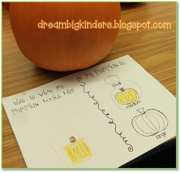Dream Big Kinders: All about Pumpkins! and a FREEBIE!