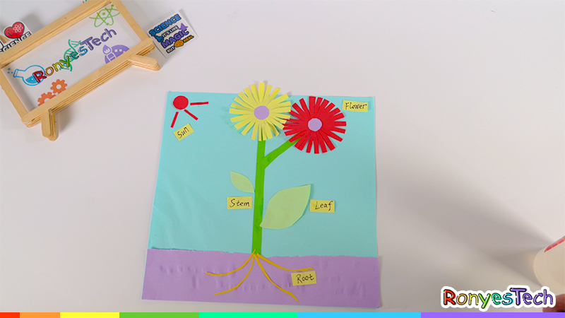 Grow an Origami Plant with Kids - Science Experiments for Kids - Ronyes ...