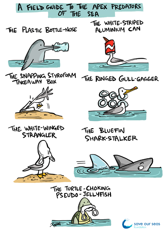 Green Humour: January 2019