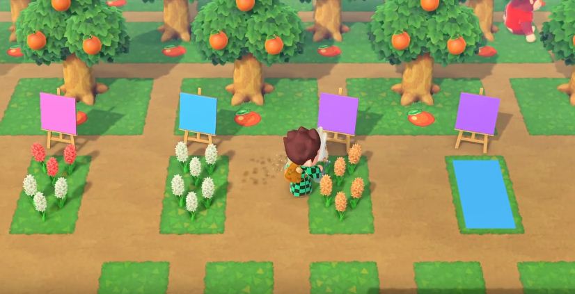 Hyacinths Breeding Combination Guide: AC New Horizons