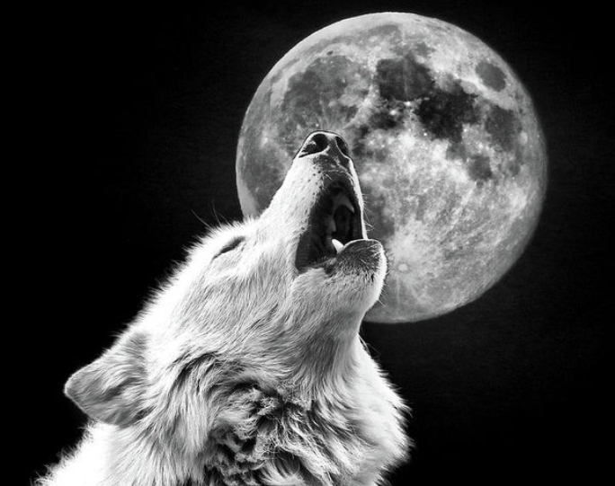 Also, stargazers can still catch sight of the Draconid and Southern ...