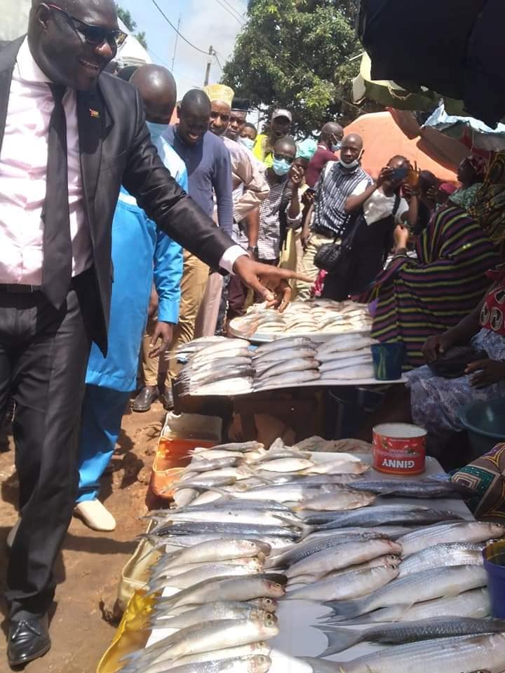 Conosaba do Porto: O Ministro das Pescas Capitão de Fragata MARIO SIANO ...