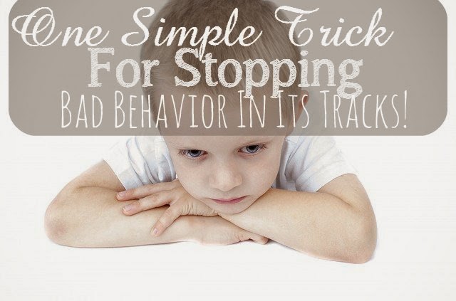 The Fraggle Momma: One Simple Trick to Stop Bad Behavior