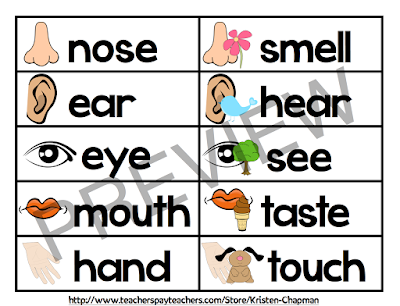 Early Childhood Scribbles: Five Senses Unit w/ FREEBIE!